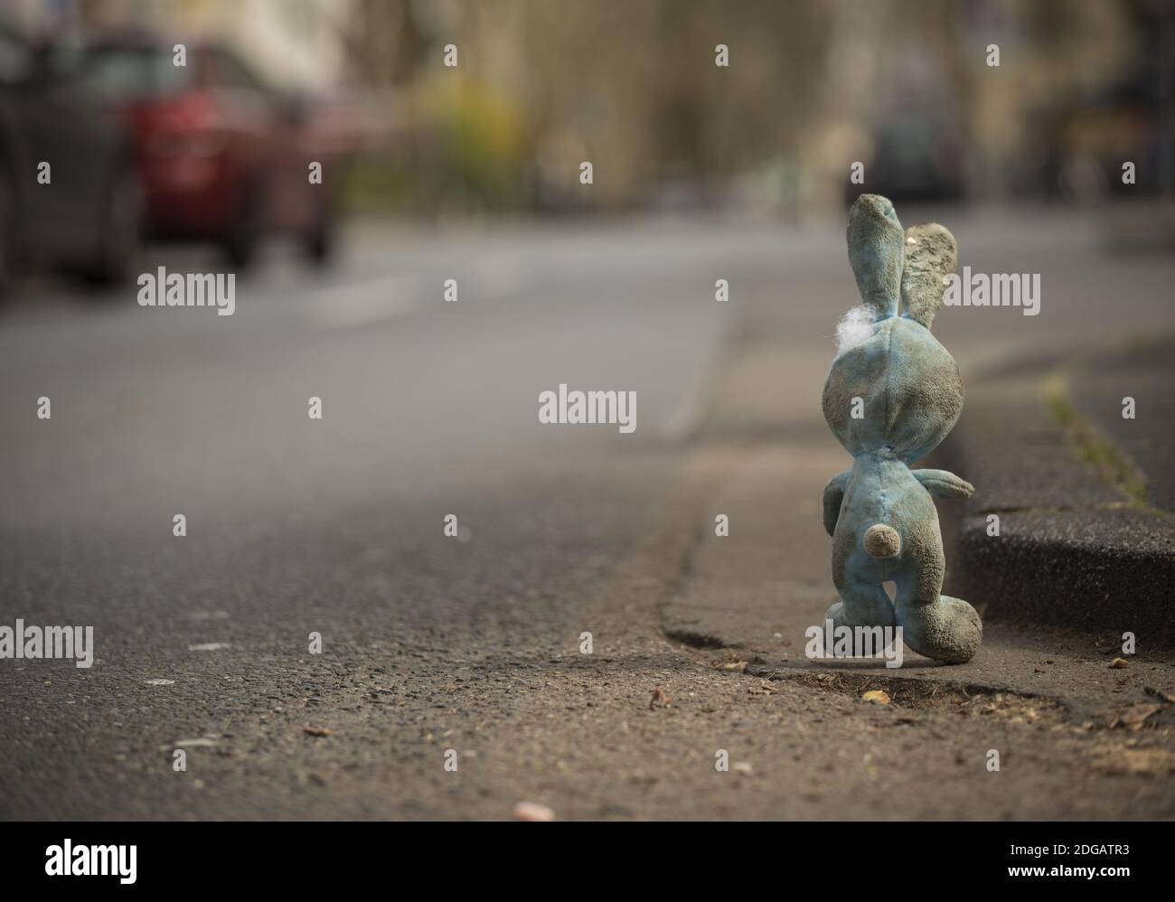 Rabbit street hi-res stock photography and images - Alamy