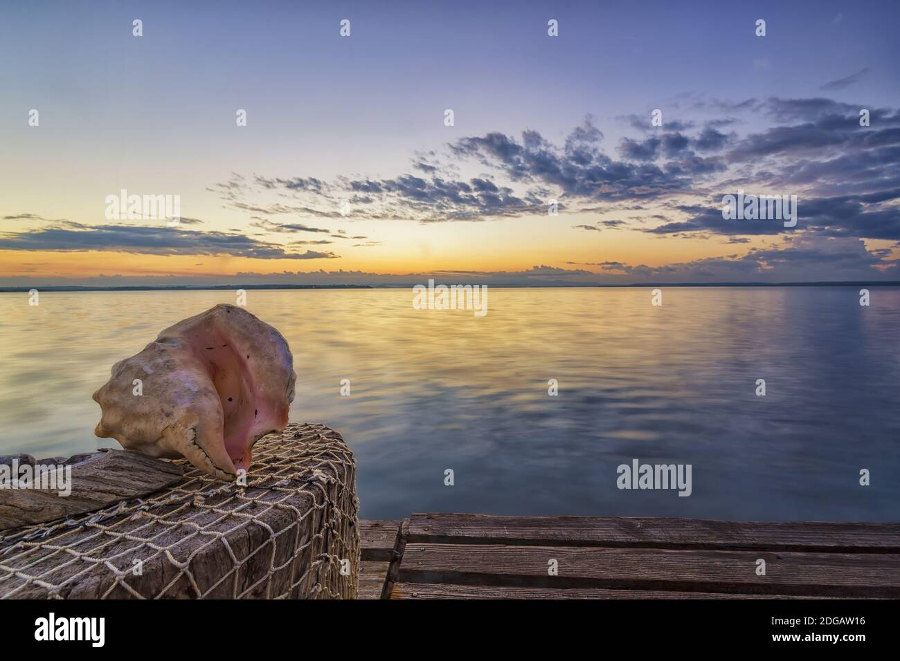 Seashell reflection hi-res stock photography and images - Alamy