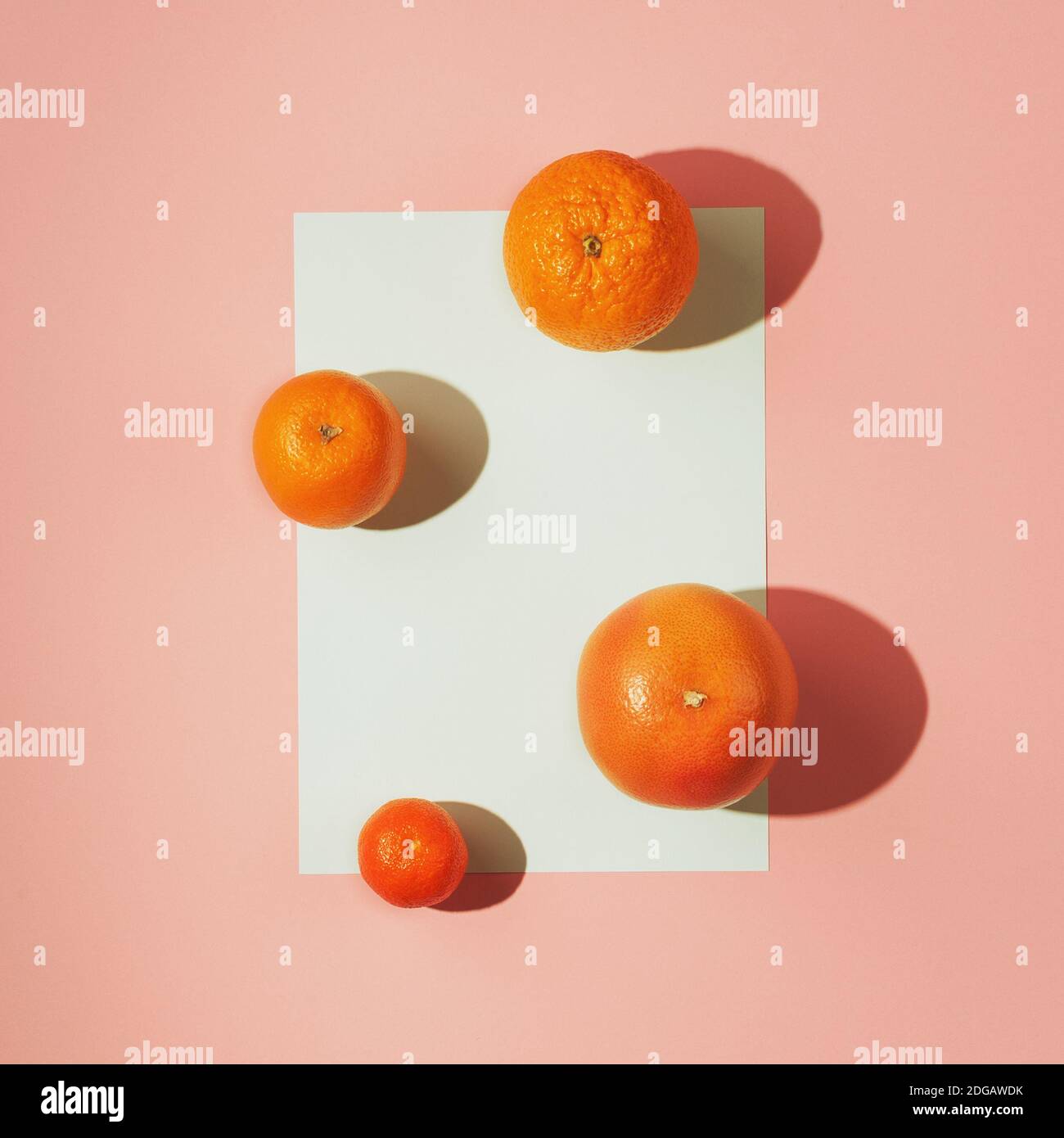 Creative layout made of citrus fruits and hard shadows on pastel ...