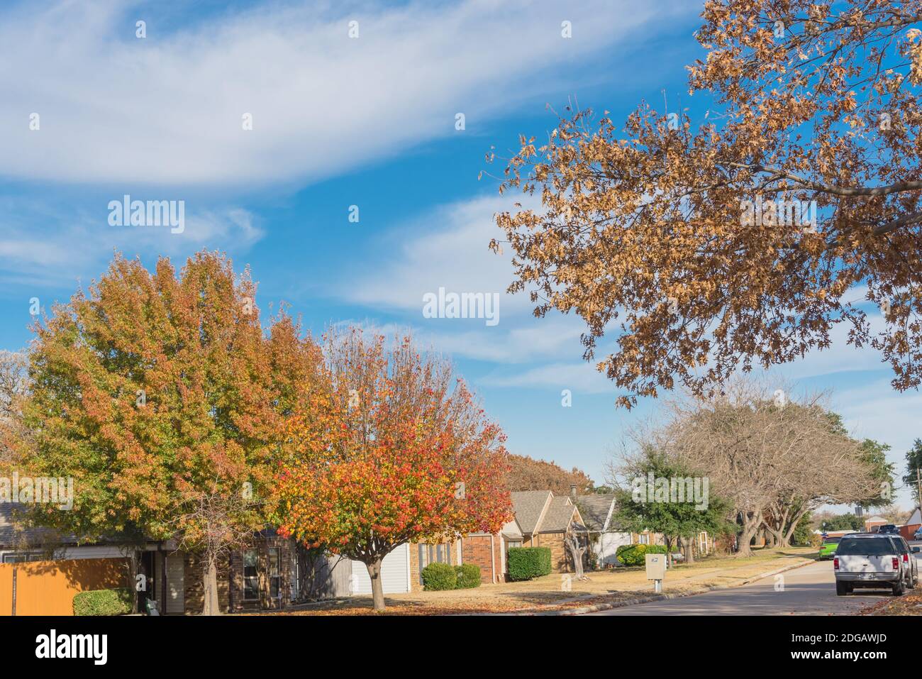 Under tree pavement yellow hi-res stock photography and images - Alamy