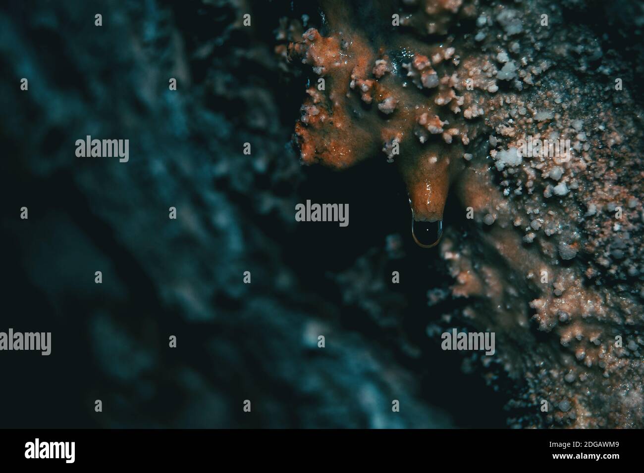 abstract texture of wet stone from inside a dark cave Stock Photo - Alamy
