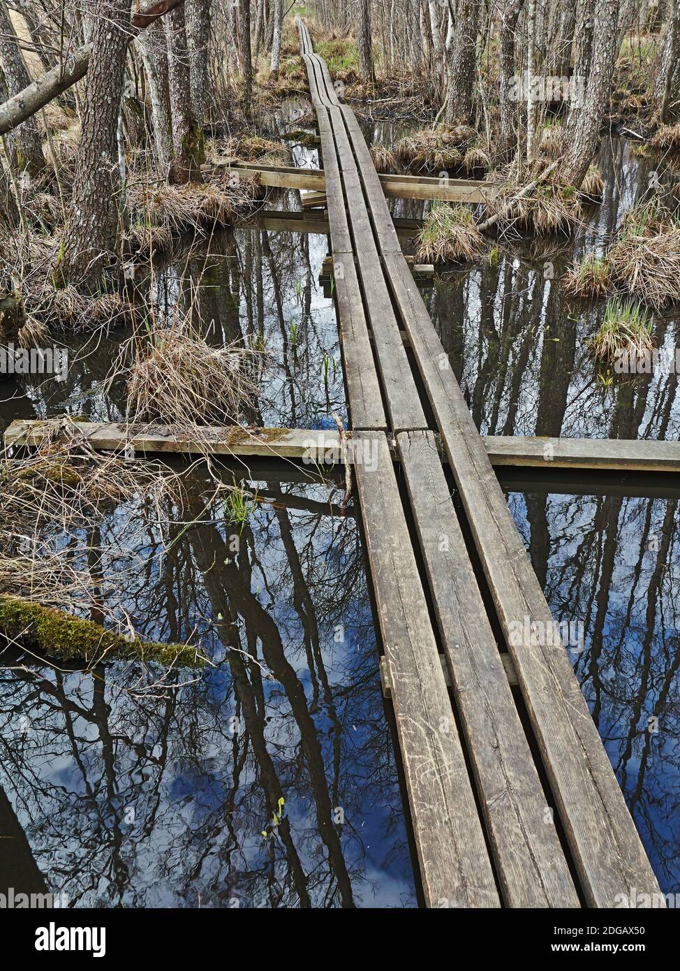 Foot bridge over water on the sormlandsled Dunker, Sweden. Build by ...
