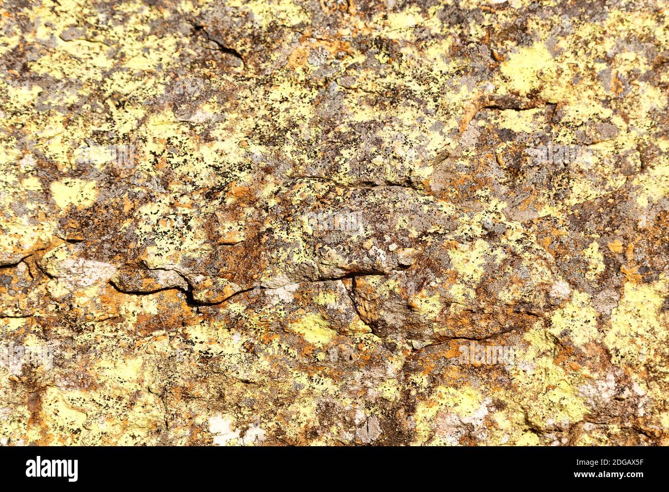 Abstract texture background of a rock surface Stock Photo - Alamy