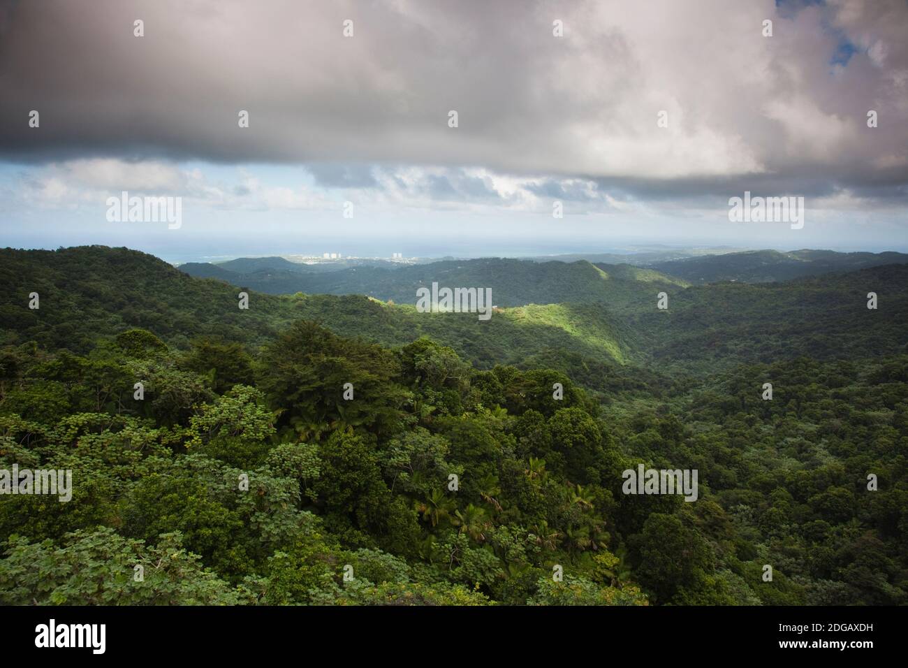 High angle view of El Yunque Rainforest from the Yokahu Tower, El ...