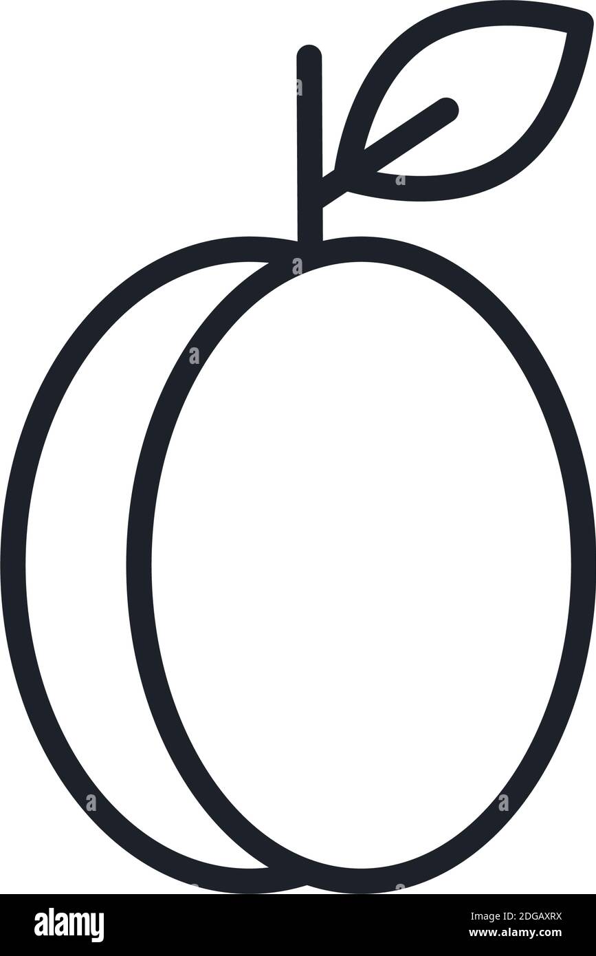 Apricot or plum icon. Vector linear icon, contour, shape, outline ...
