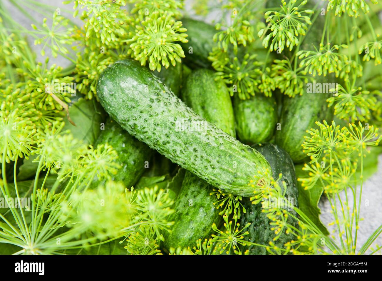 Cucumber flavor hi-res stock photography and images - Alamy