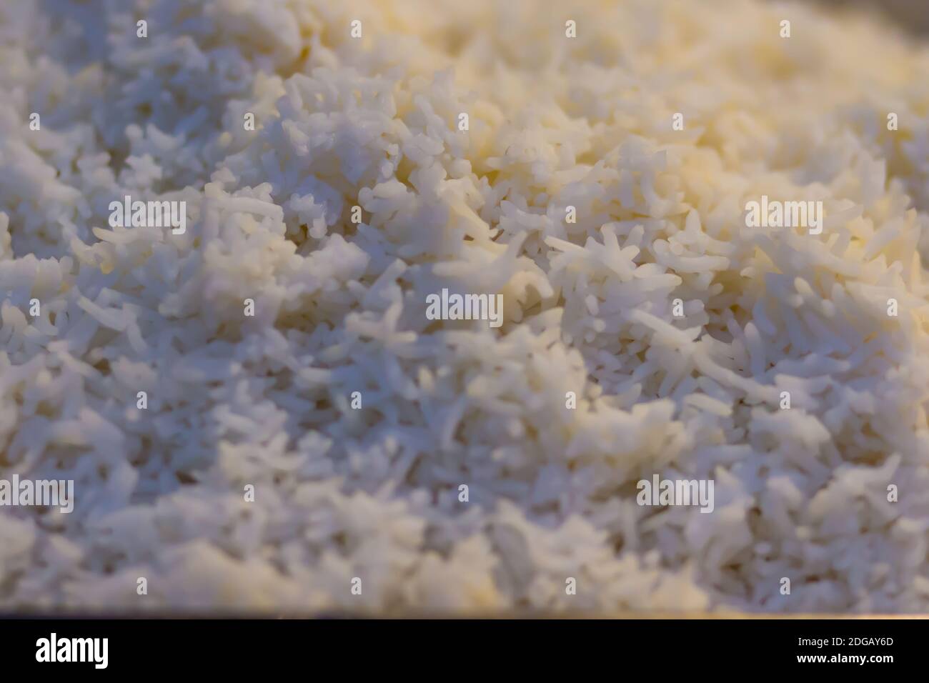 Cooked thai jasmine rice background. Jasmine rice or Khao hom mali also ...