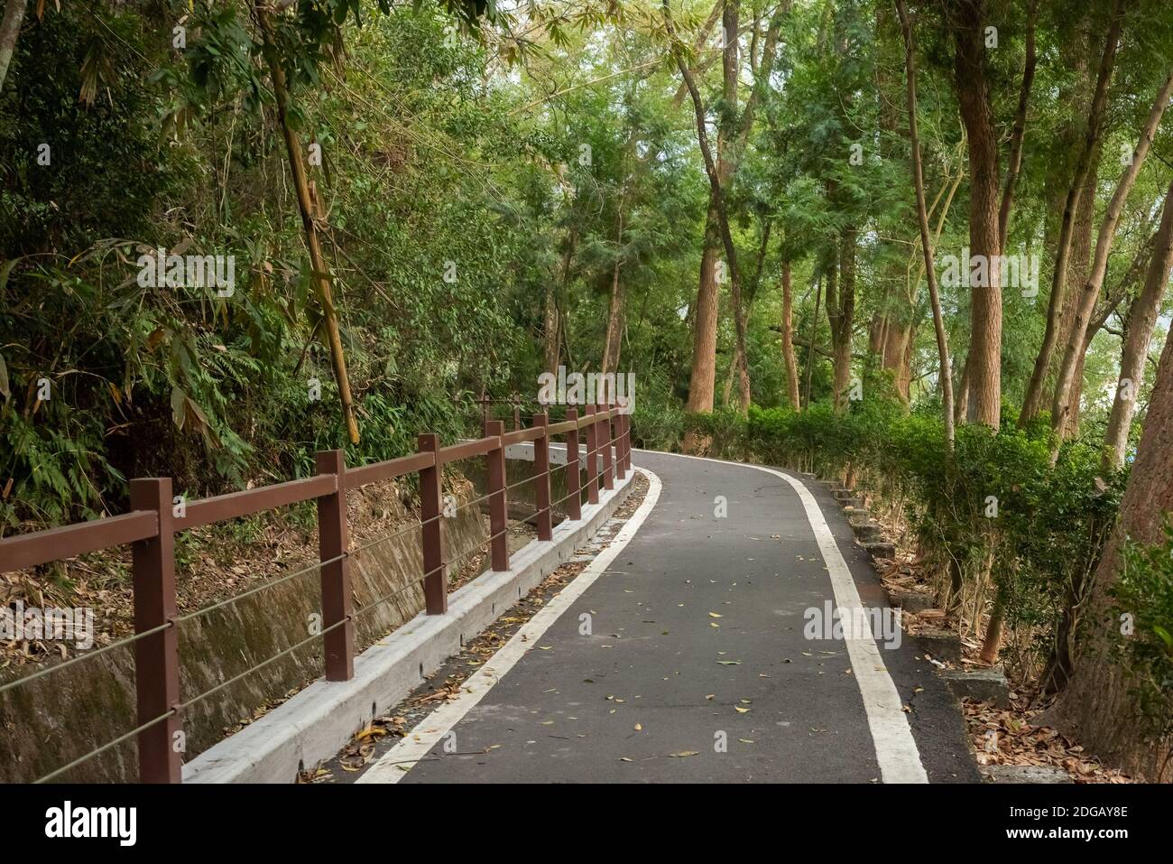 Small road by trees with nobody Stock Photo - Alamy