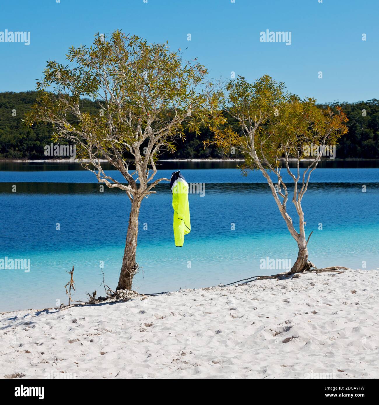 Tourism tree and relax in the paradise Stock Photo - Alamy