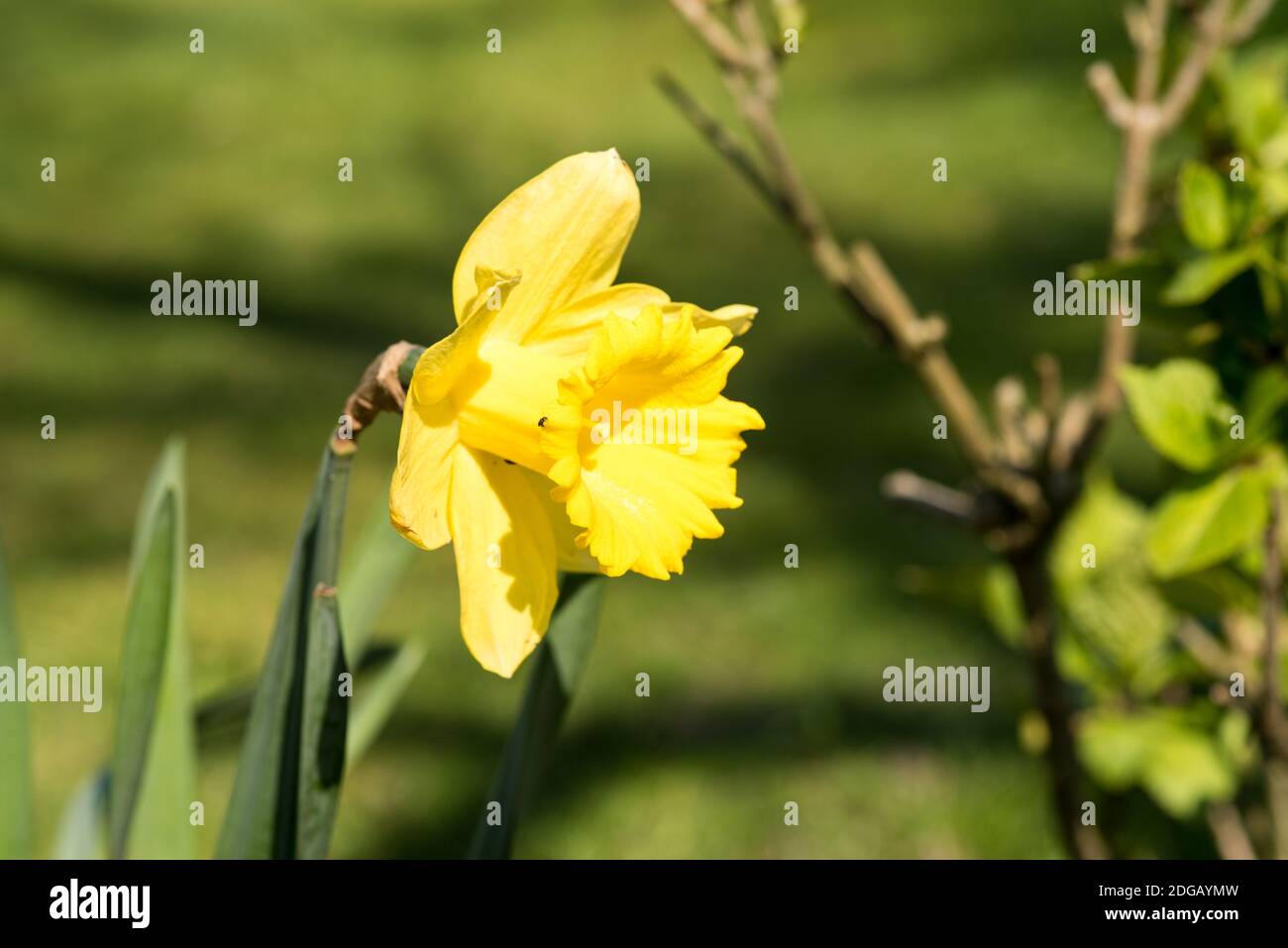 Easter bell hi-res stock photography and images - Alamy