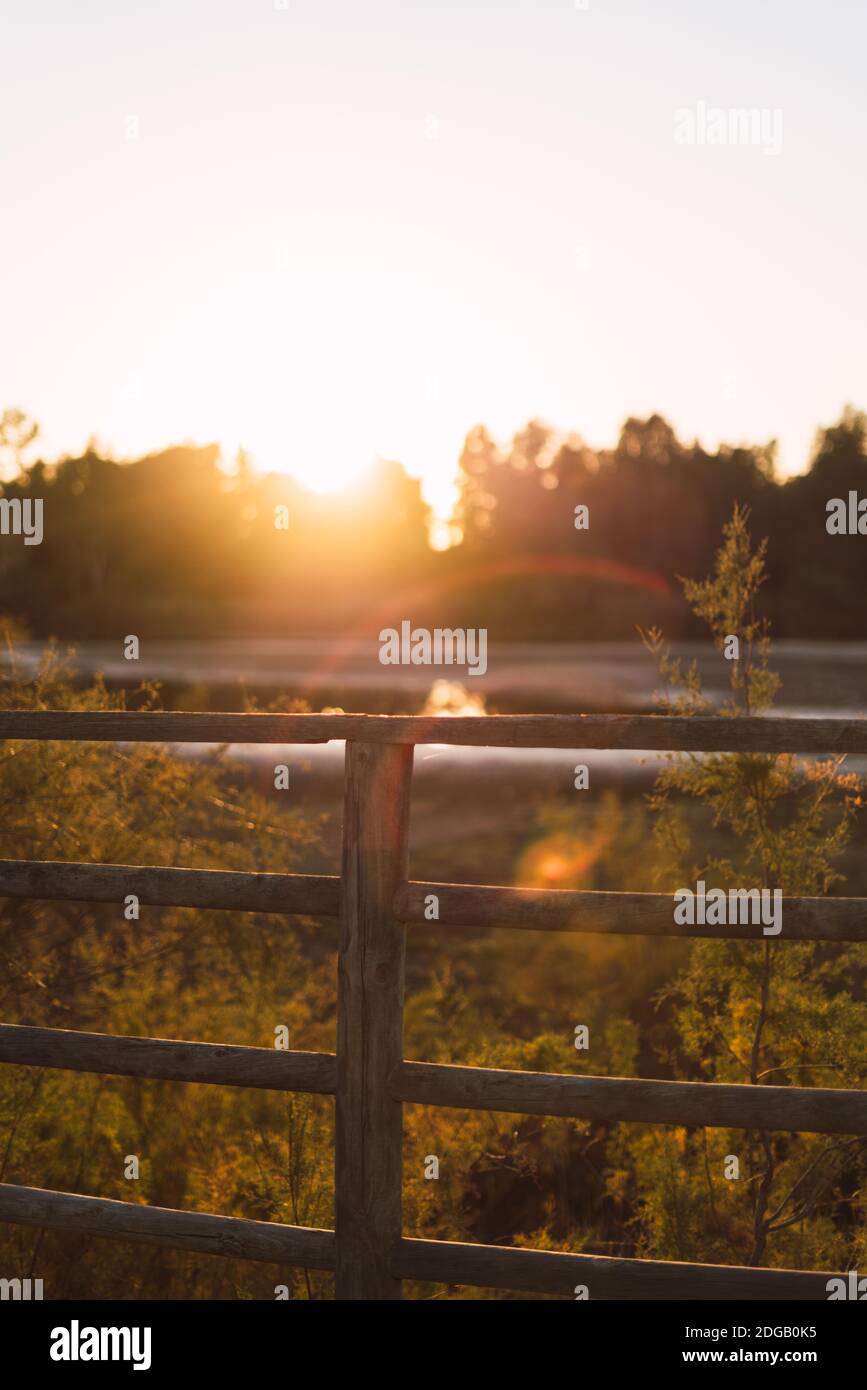 A beautiful sunset in the forest Stock Photo - Alamy