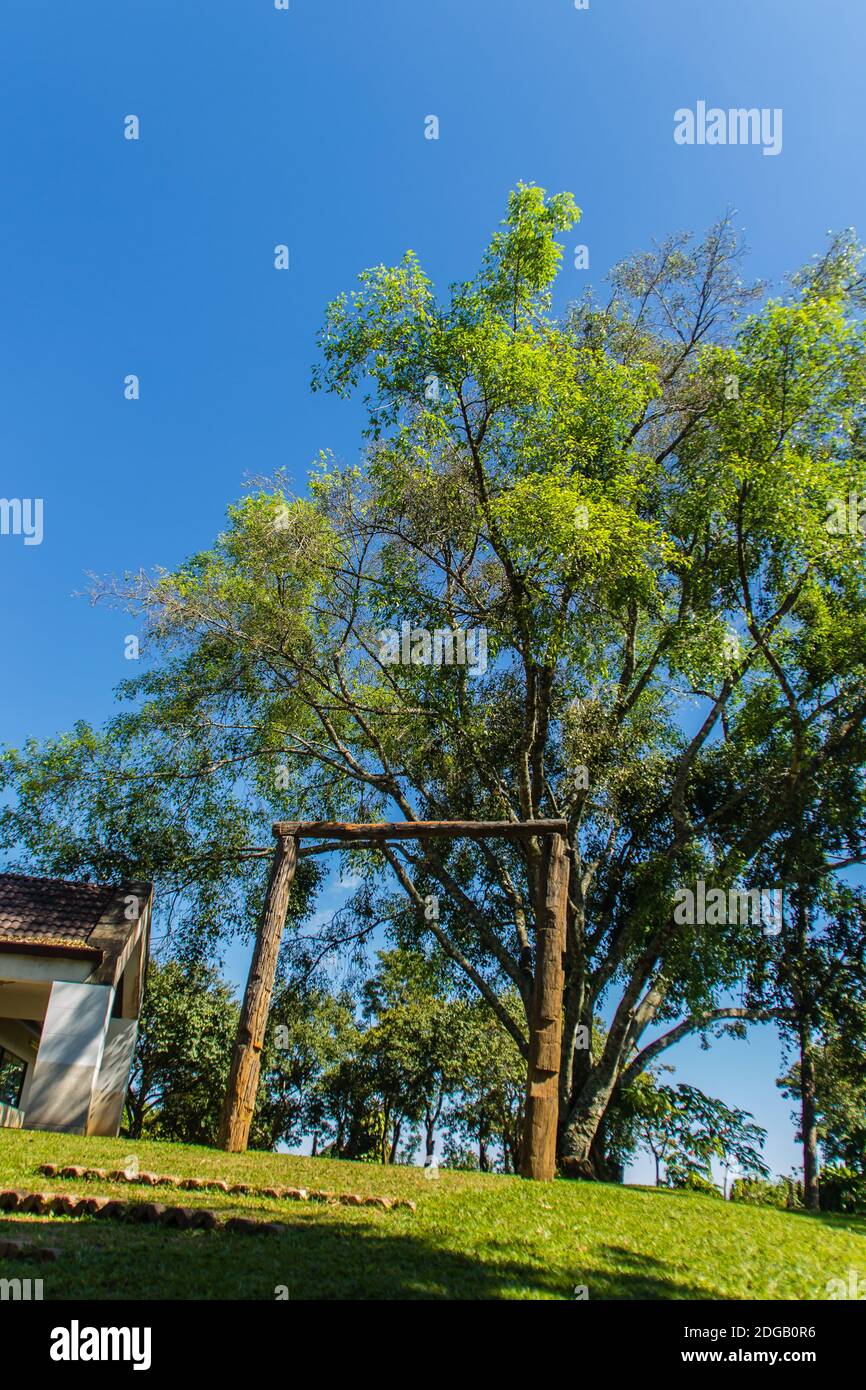 Princess tu hi-res stock photography and images - Alamy