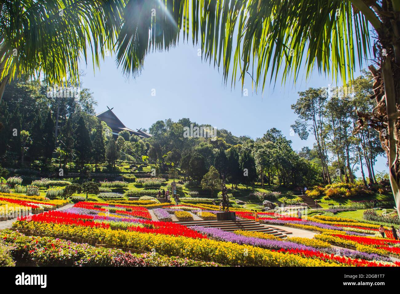 Chiang Rai, Thailand - November 18, 2017: Colorful flowers at Mae Fah ...