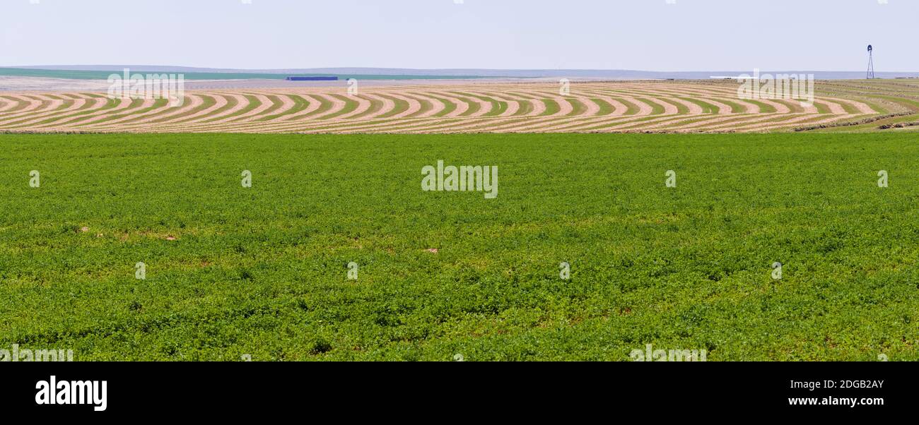 Field patterns hi-res stock photography and images - Alamy