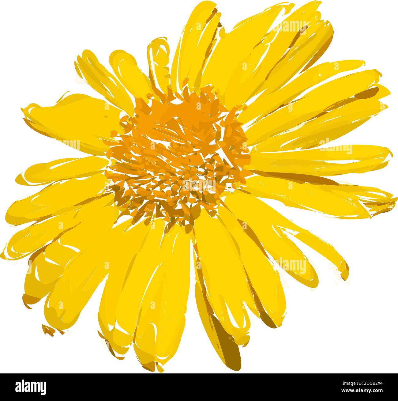 Yellow spring flower isolated on white background. Illustration of ...