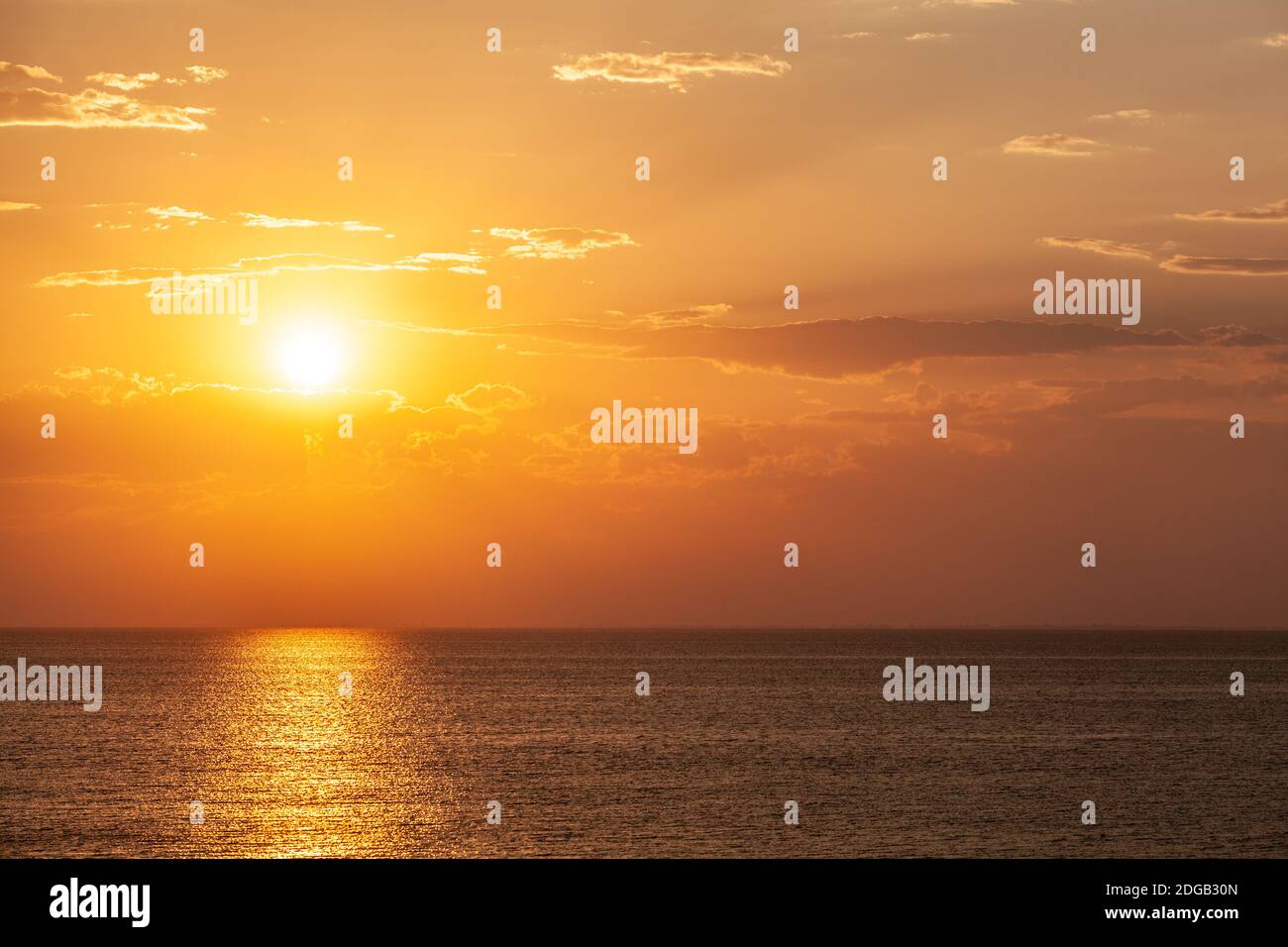Golden nature hi-res stock photography and images - Alamy