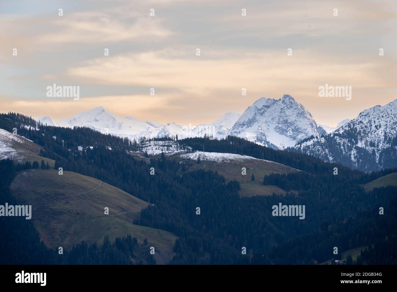 Mountainside forest hi-res stock photography and images - Alamy