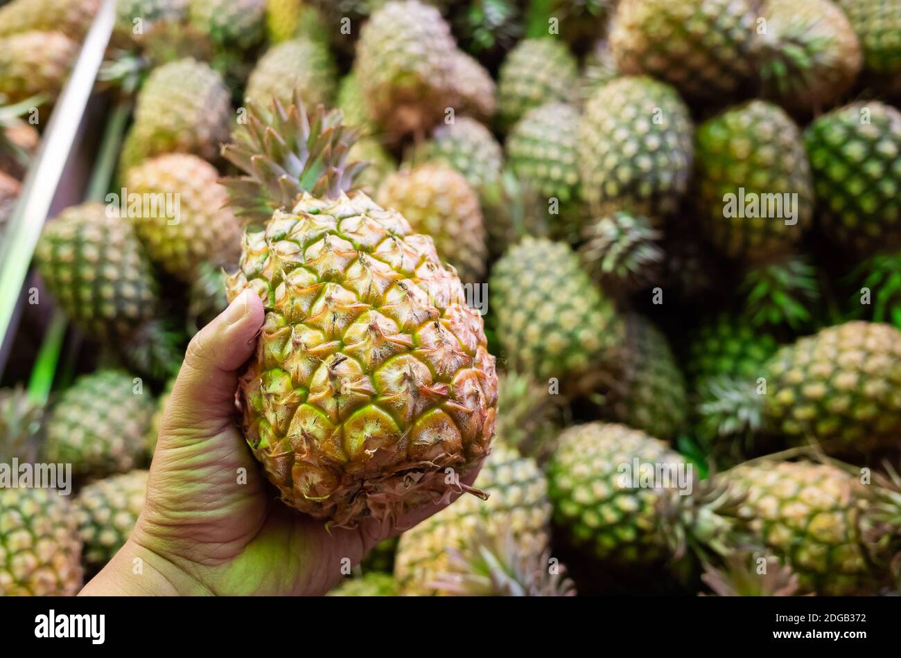 Group of pineapple fruit Stock Photo - Alamy