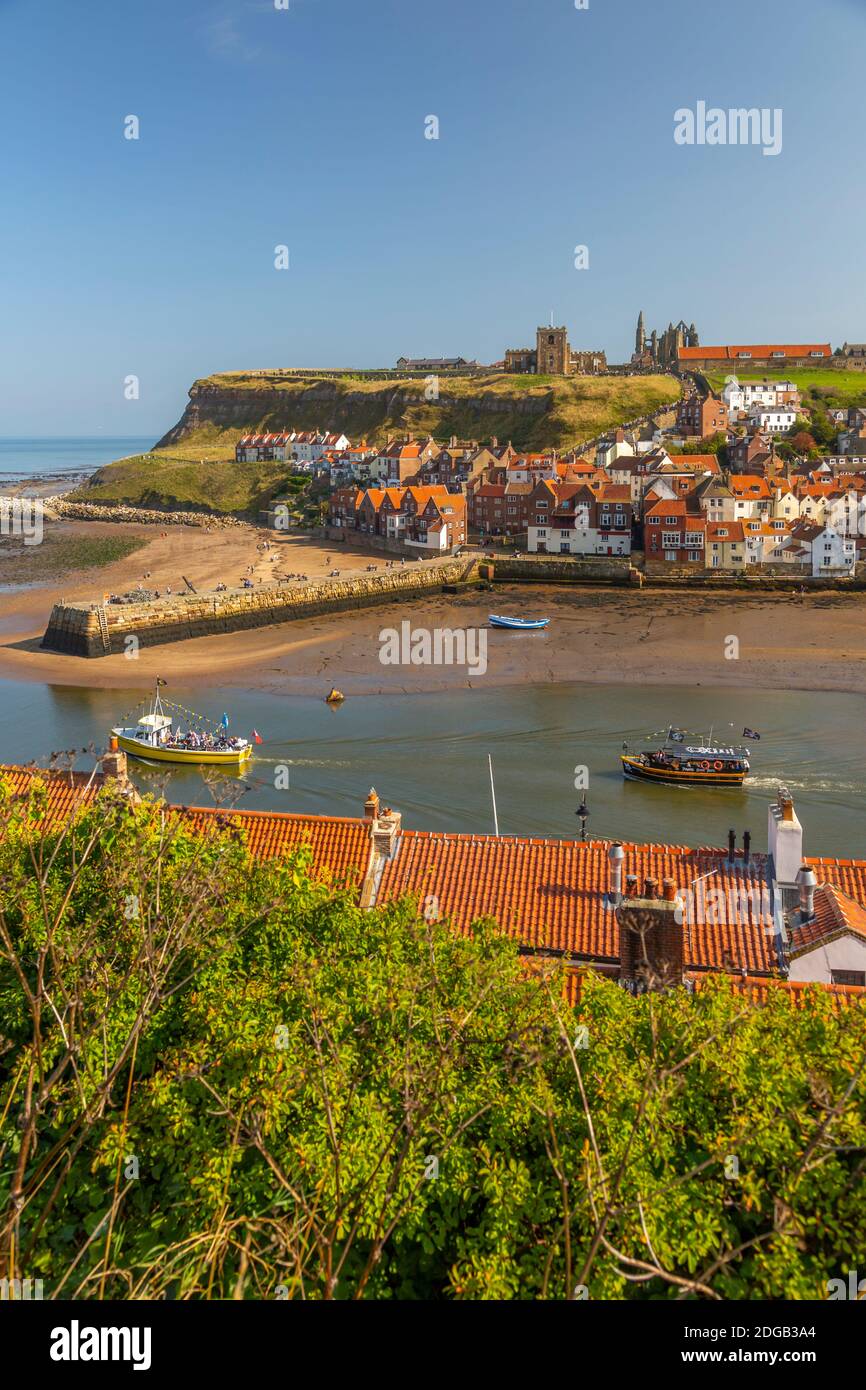 View of Whitby Abbey, St Mary's Church and Esk riverside houses, Whitby ...