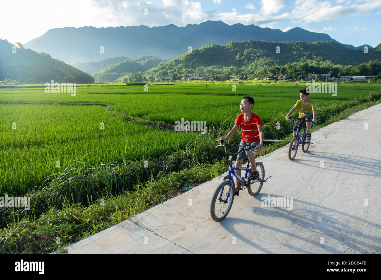 Two kids playing and riding bicycles among rice fields, in the Mai Chau ...