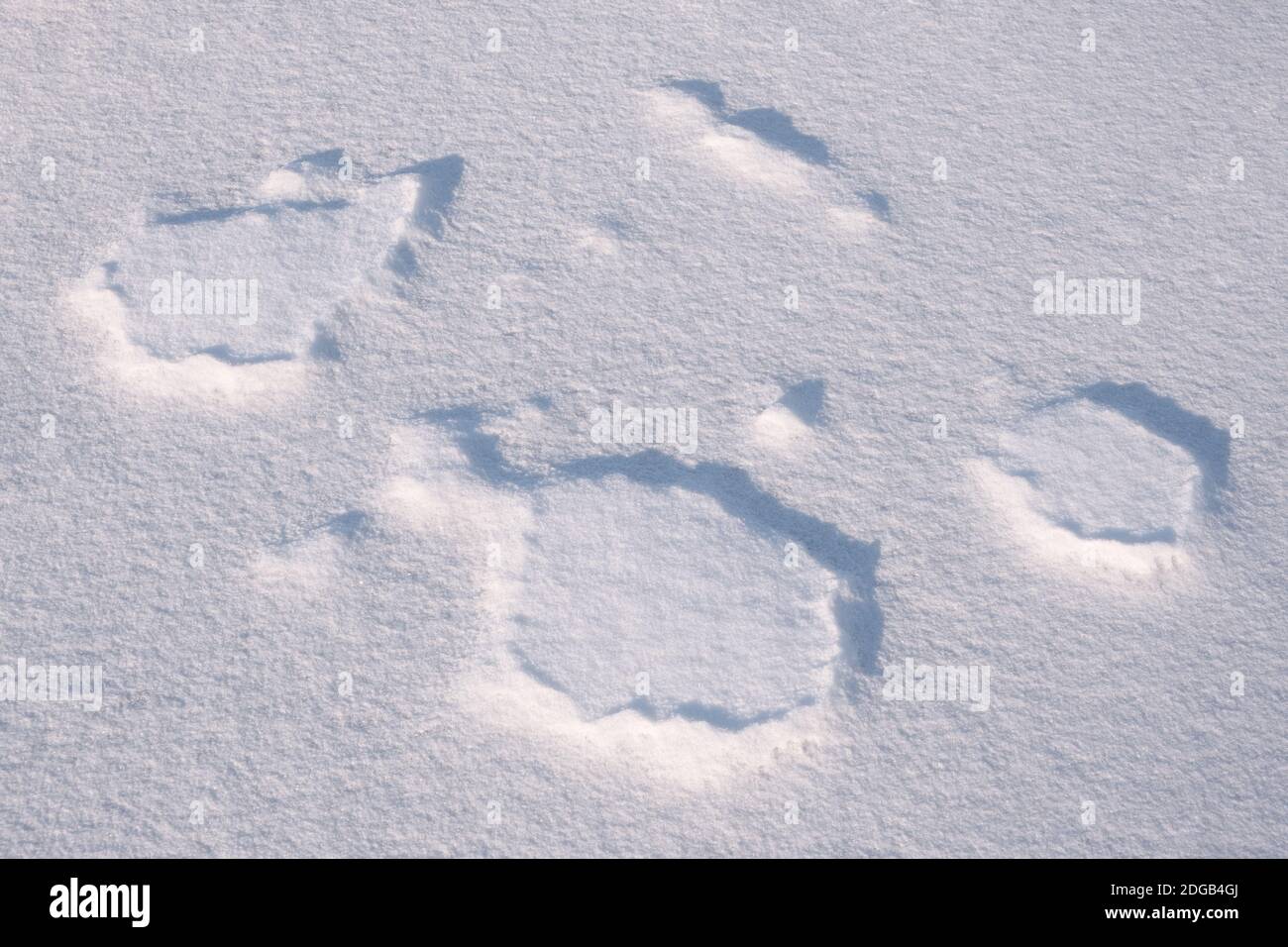 White fine snow surface texture background, winter background Stock ...