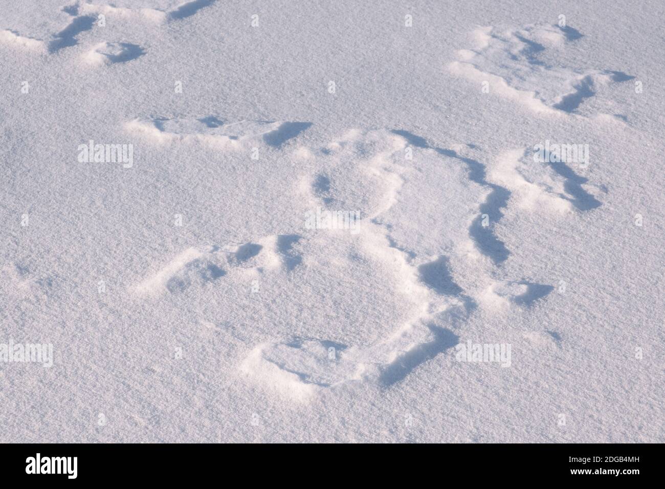 White fine snow surface texture background, winter background Stock ...
