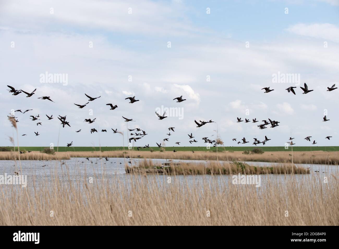 Welt naturerbe hi-res stock photography and images - Alamy