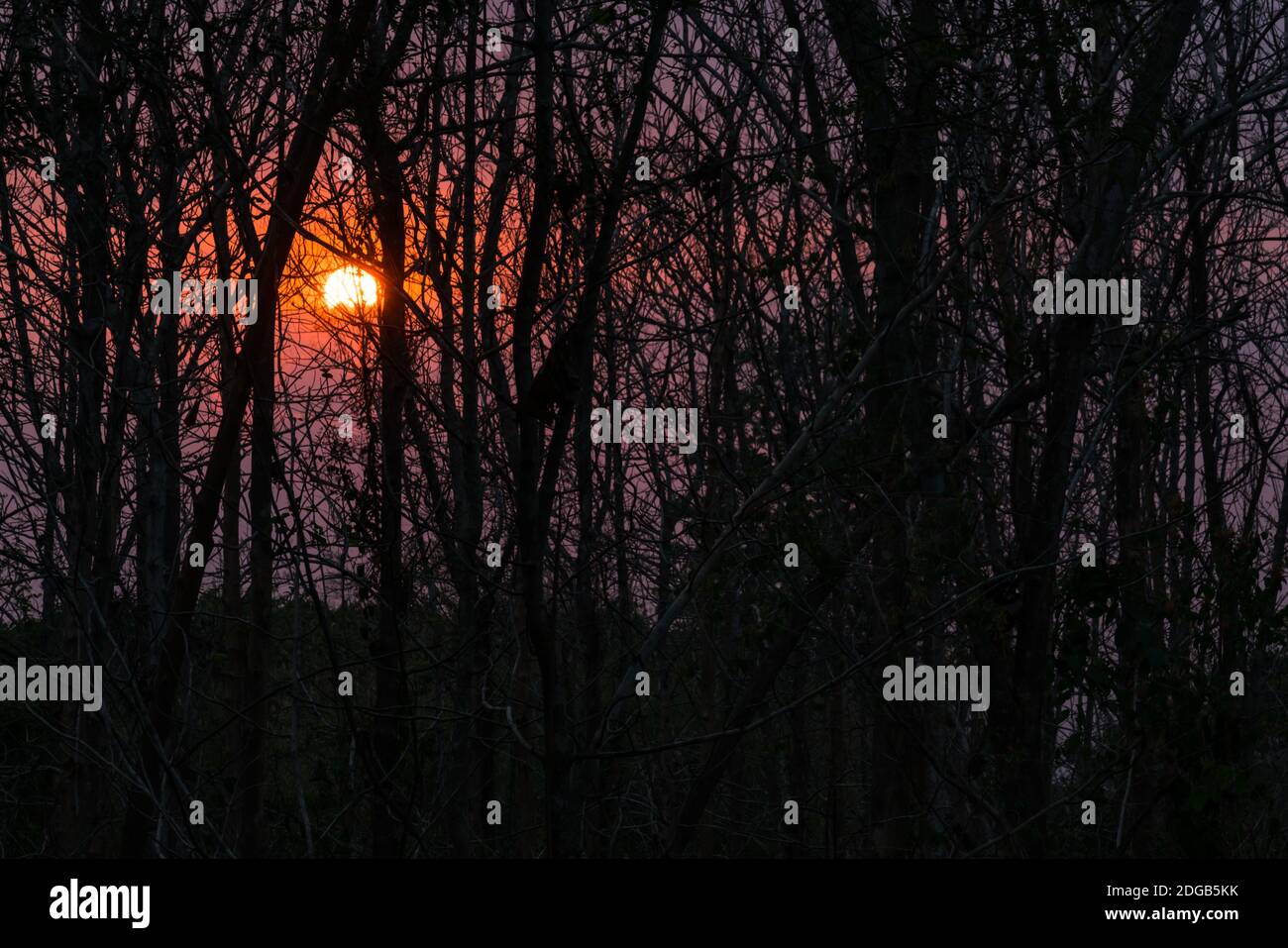 Beautiful view sunset silhouette hi-res stock photography and images ...