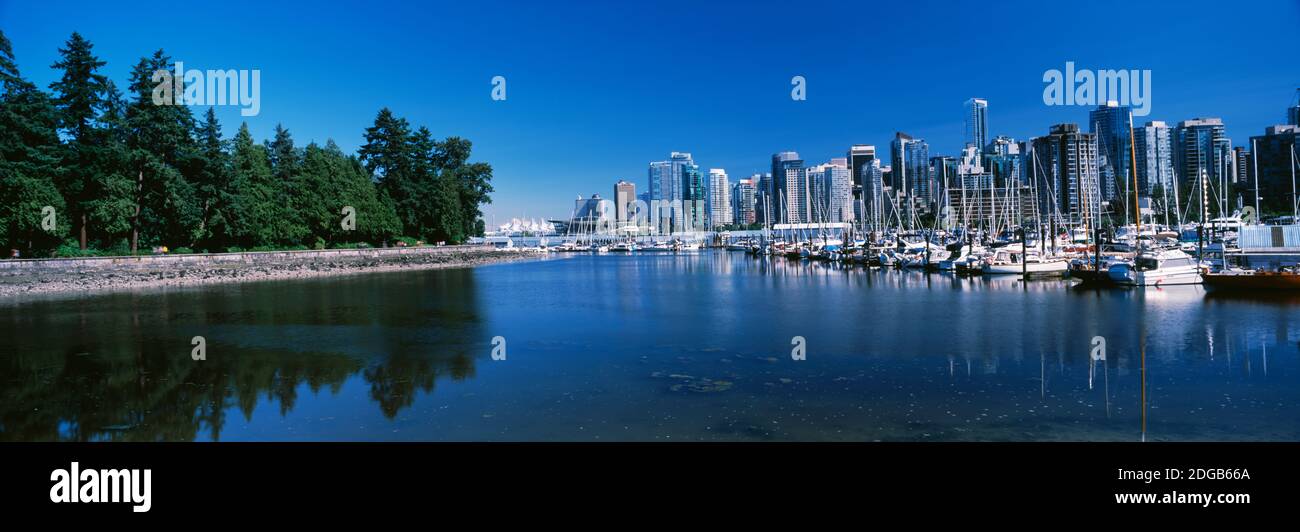 Marina with city at waterfront, Vancouver, British Columbia, Canada ...