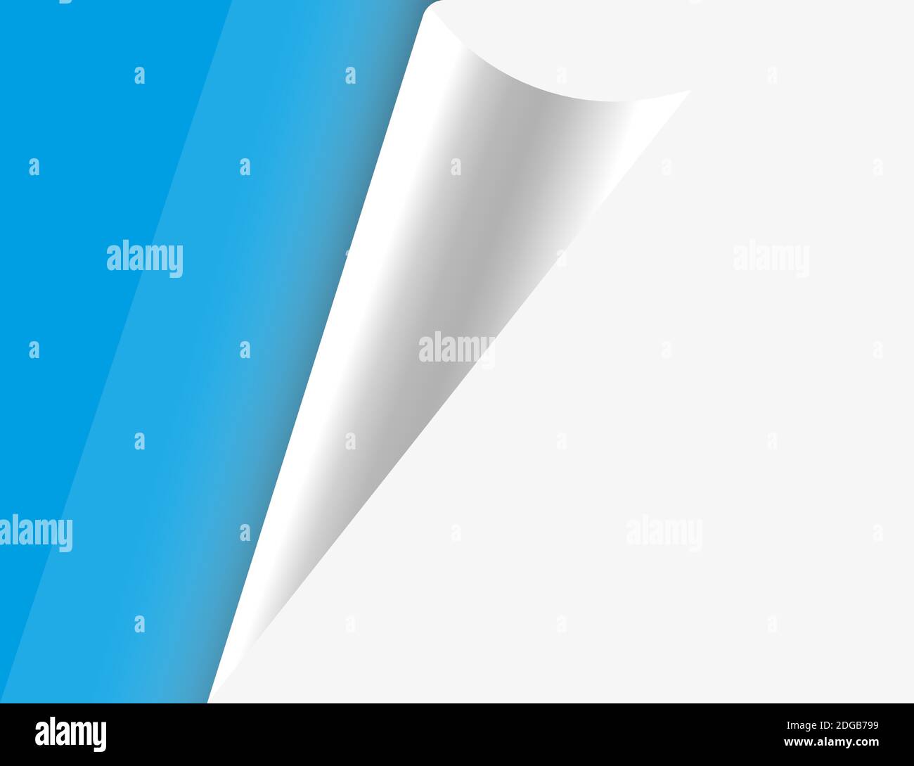 Vector illustration. paper with a curled edge Stock Vector Image & Art ...