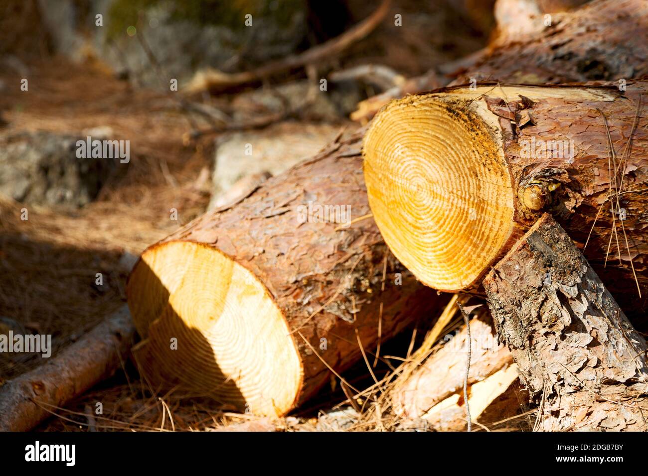 The neddles hi-res stock photography and images - Alamy