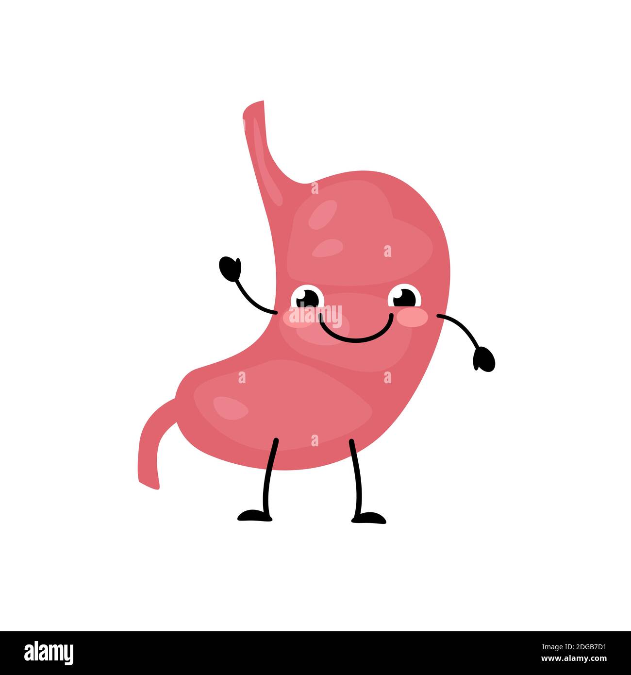 Happy Smiling Cute Stomach Organ Character In A Flat Cartoon Style
