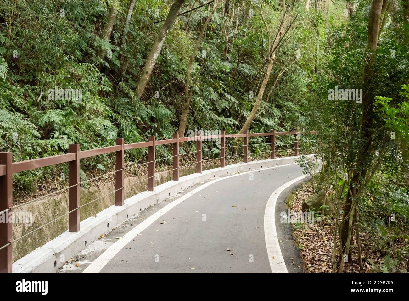 Small road by trees with nobody Stock Photo - Alamy