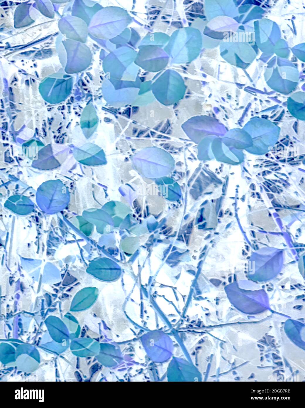 Cyan Floral Print Stock Photo - Alamy