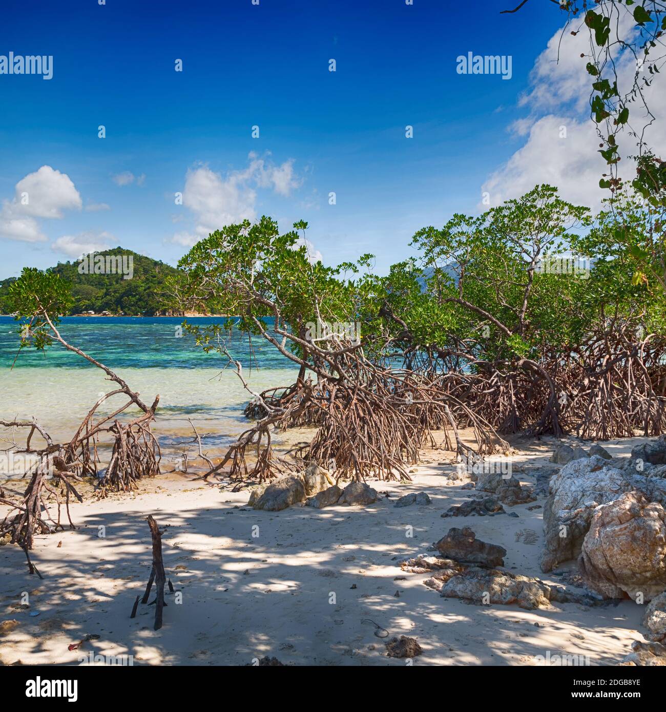 In the beautiful island cosatline and tree Stock Photo - Alamy