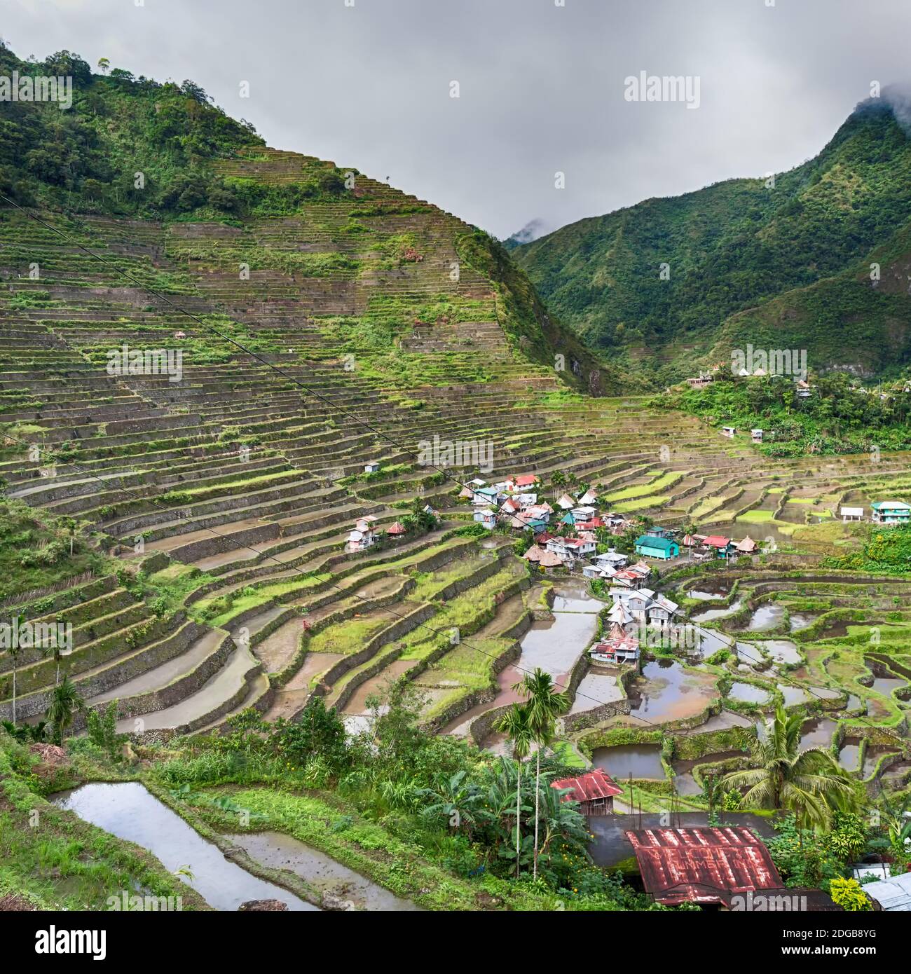Terrace field for coultivation of rice Stock Photo - Alamy