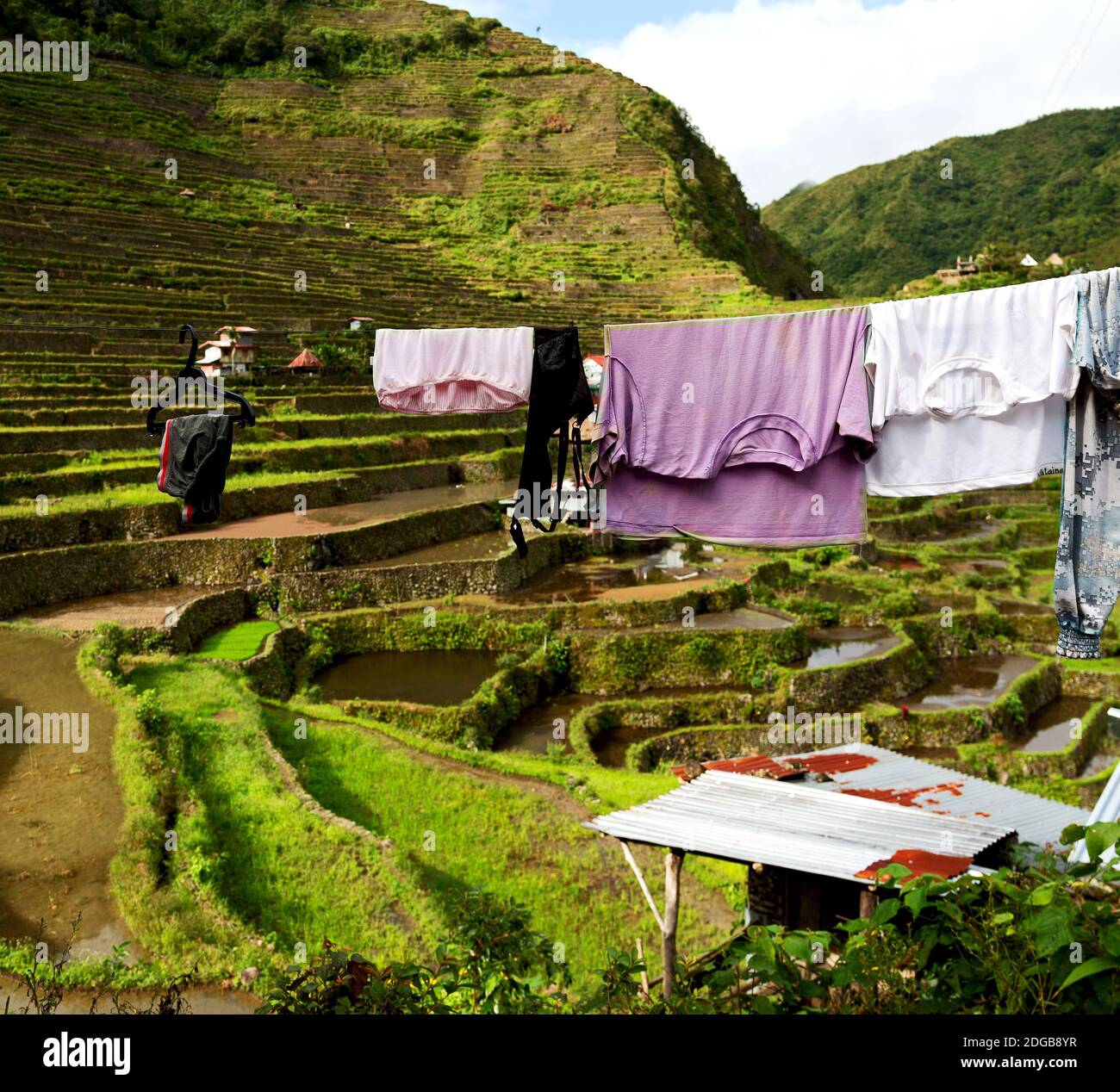 Terrace field for coultivation of rice Stock Photo - Alamy