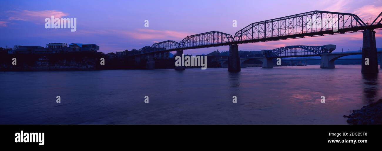 Bridge across a river, Walnut Street Bridge, Tennessee River ...