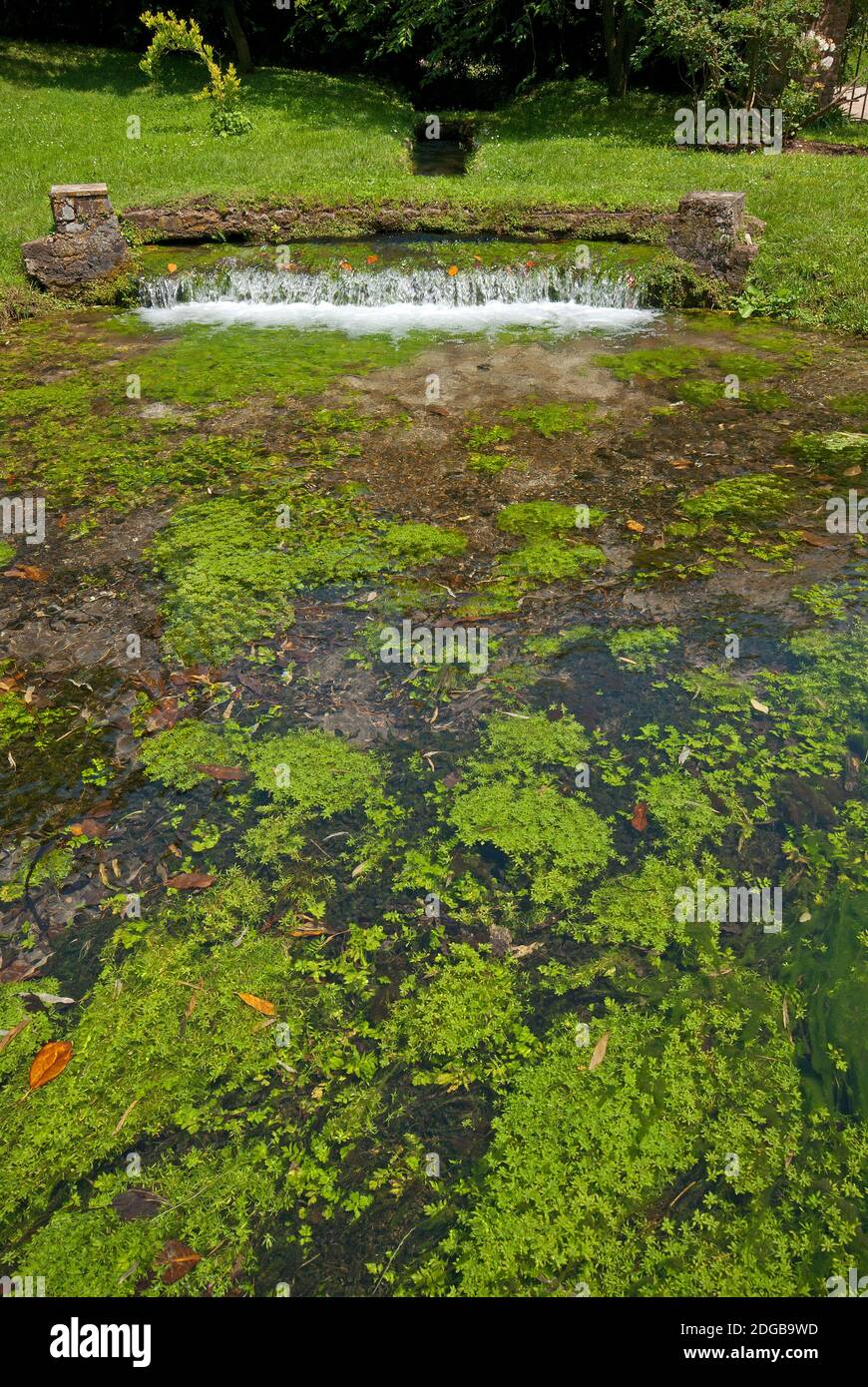 Cisterna di latina cisterna hi-res stock photography and images - Alamy