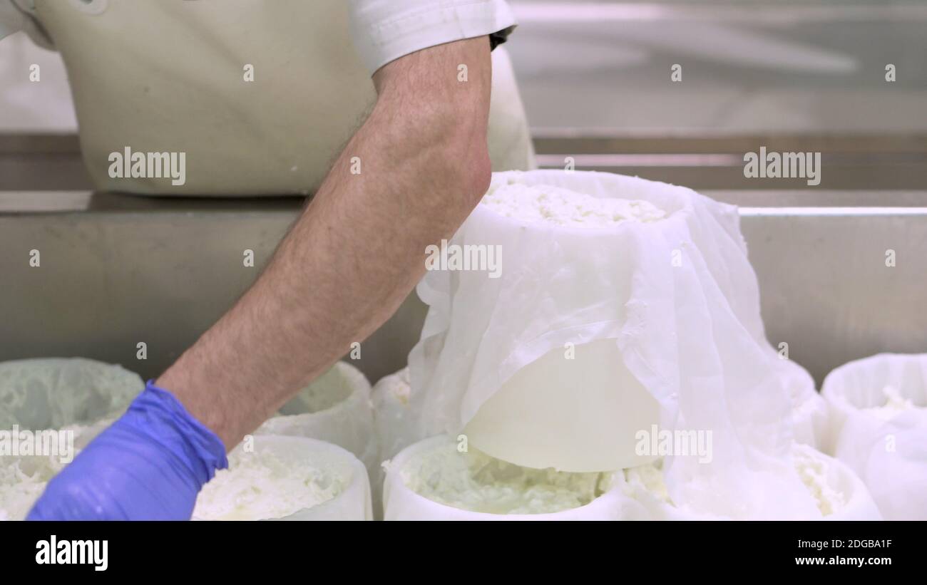 Cheese production milk fermentation hi-res stock photography and images ...