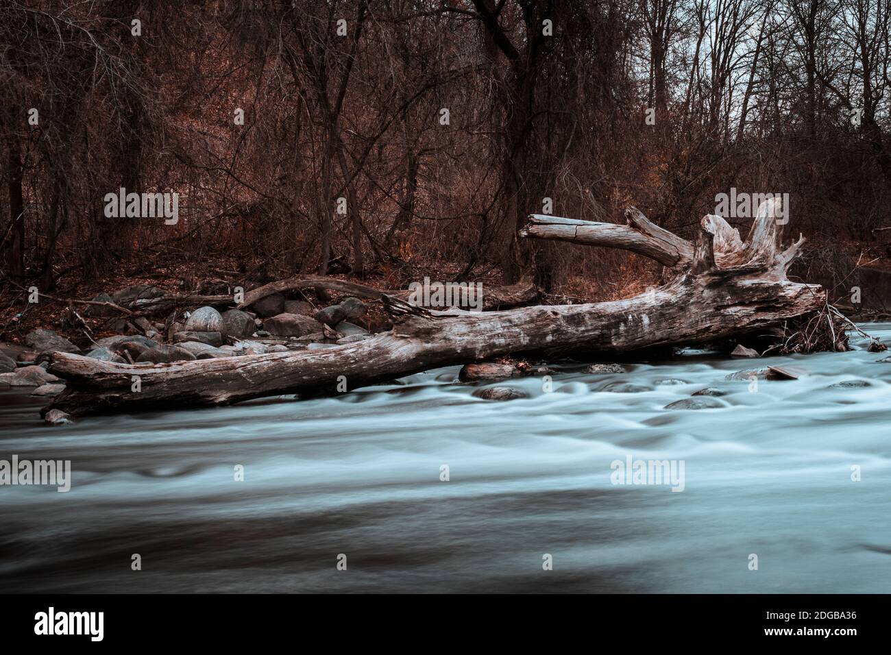 Don valley river hi-res stock photography and images - Alamy