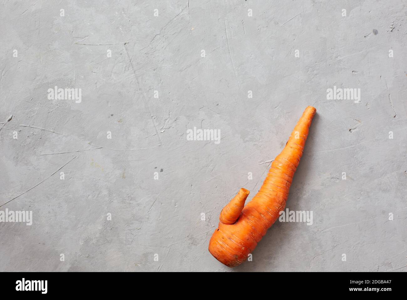 Ugly curved carrot. gray concrete background. copyspace. minimalism ...