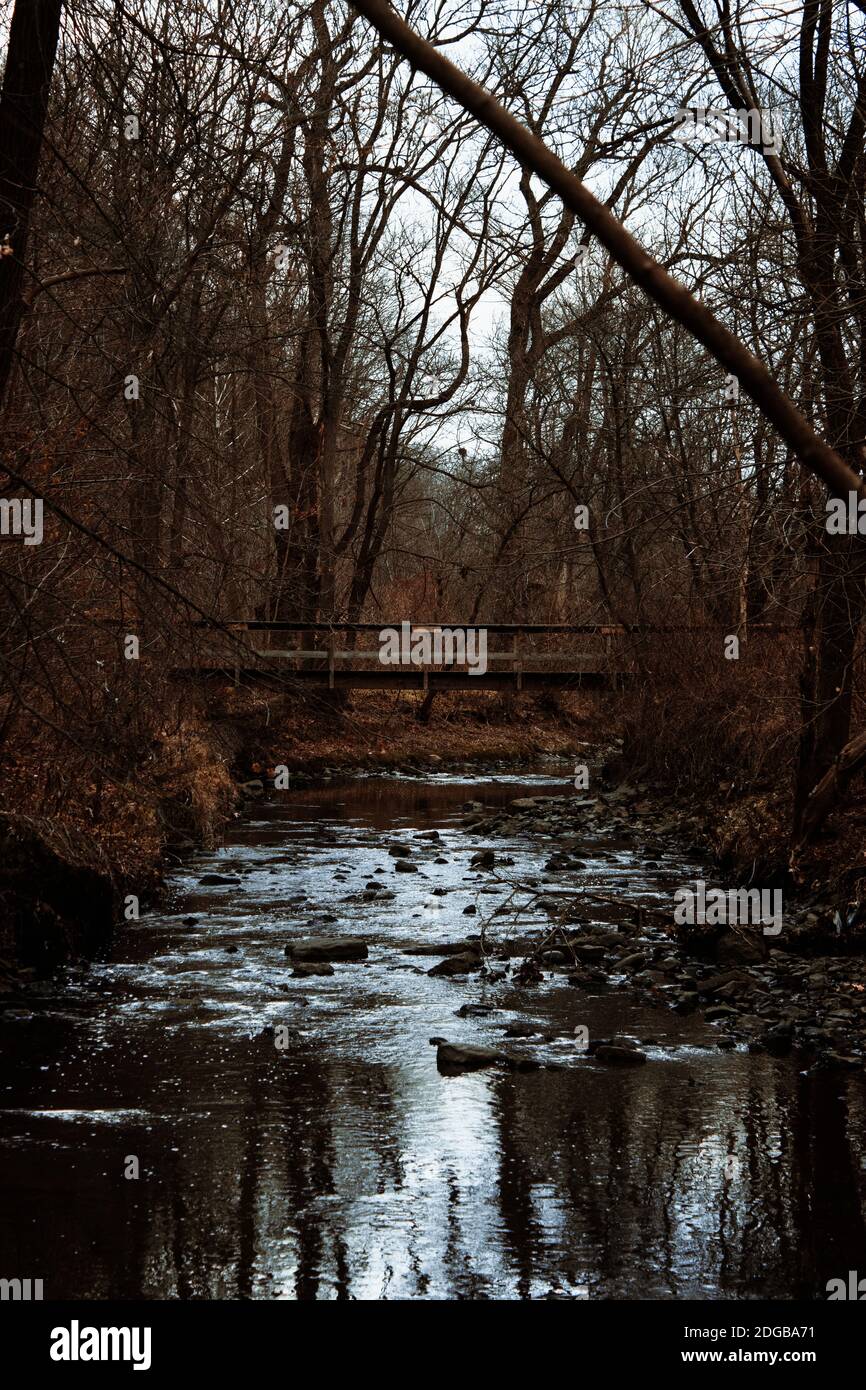 Bridge over the river - Don Valley Stock Photo - Alamy