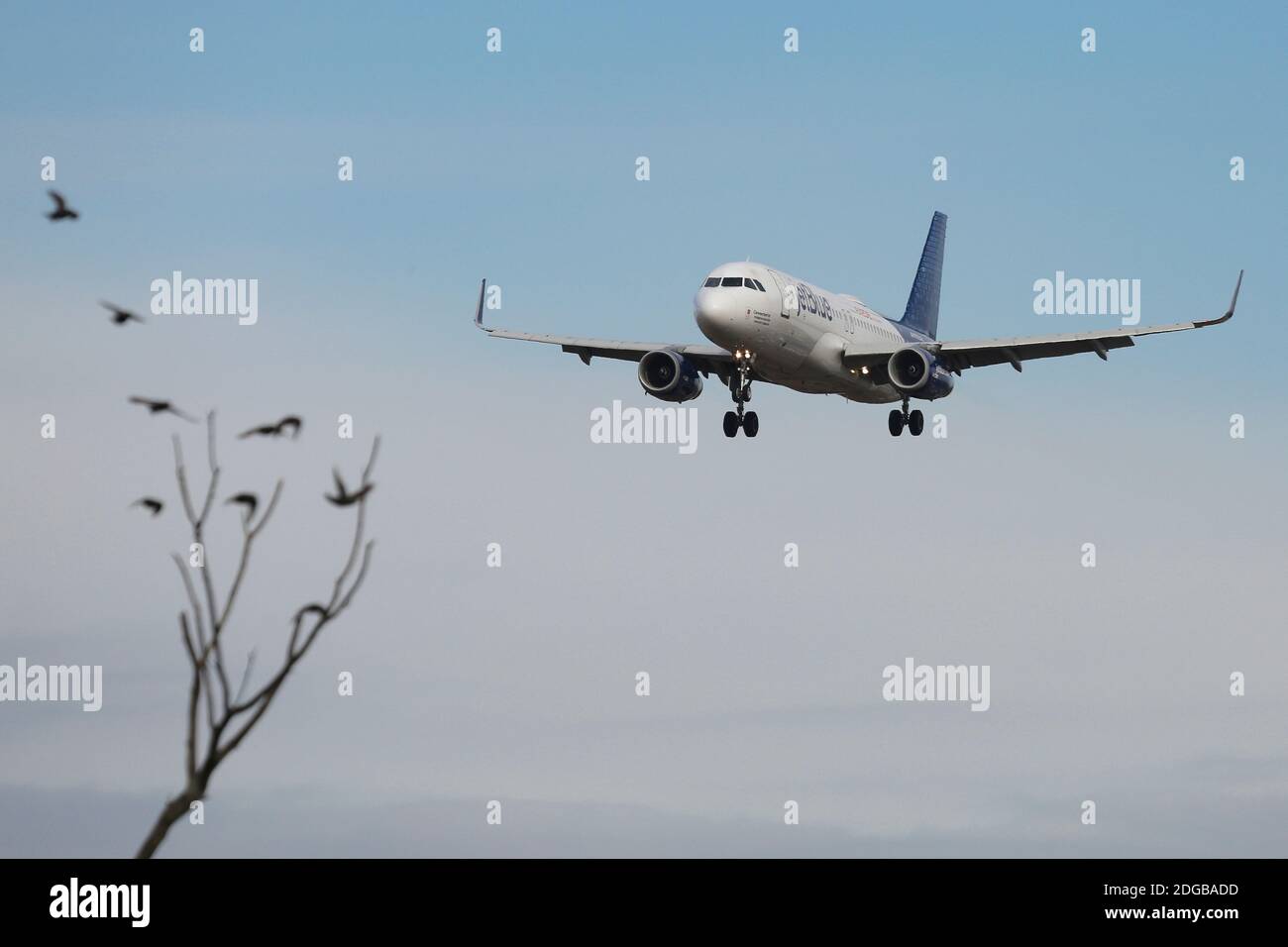 Jetblue landing hi-res stock photography and images - Alamy