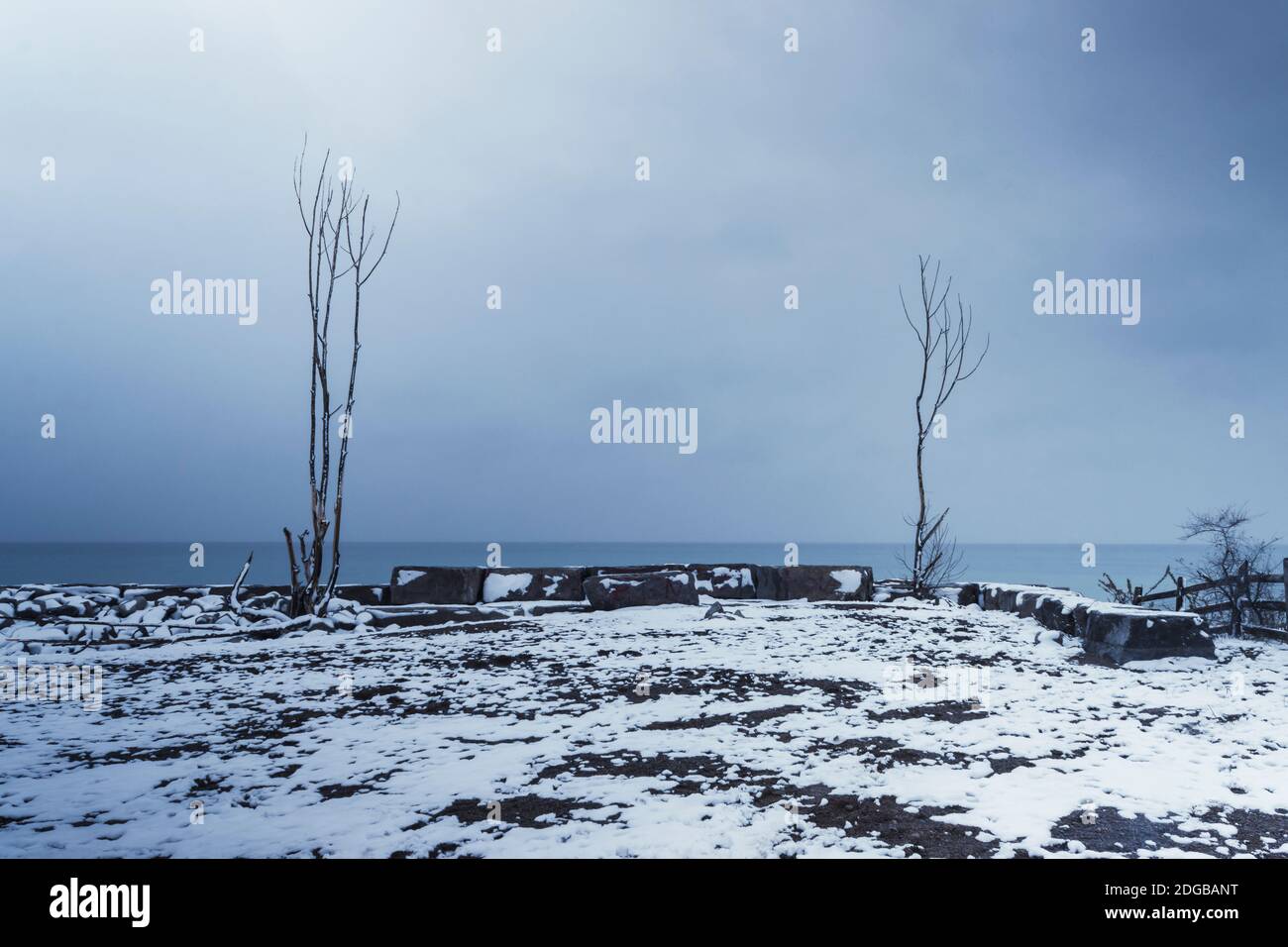 Tree no leaves winter hi-res stock photography and images - Alamy