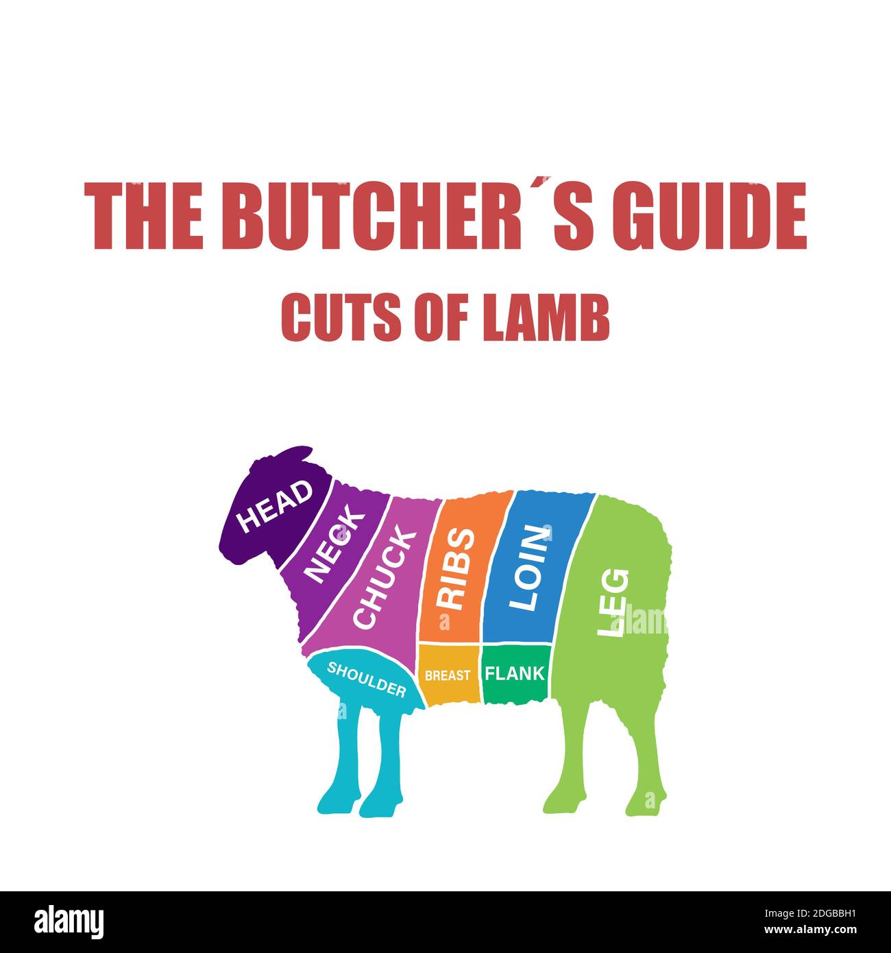 Lamb Cut of meat . Butcher diagram, schemem Stock Photo - Alamy