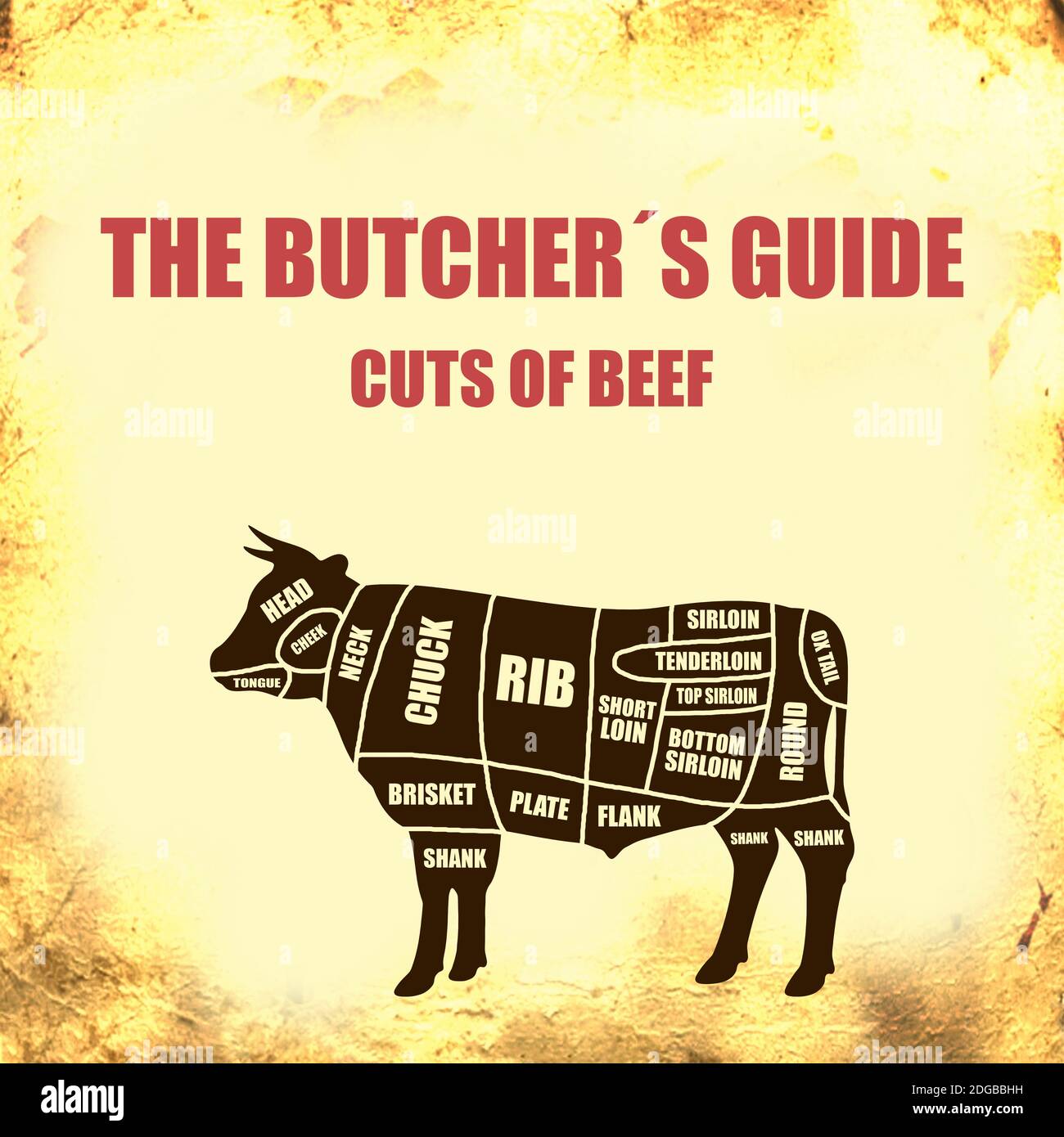 Beef Cut of meat . Butcher diagram, schemem Stock Photo - Alamy