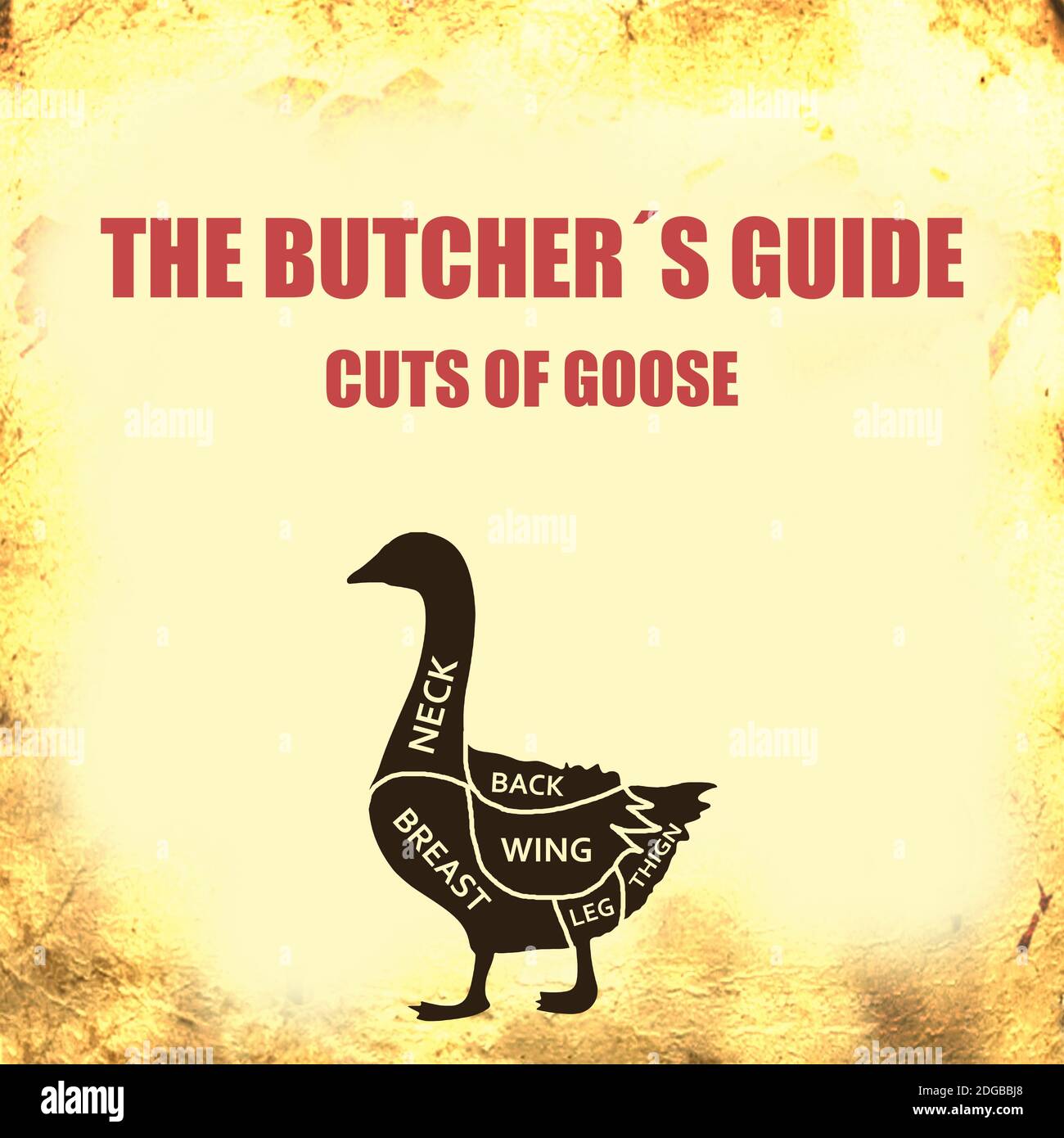 Goose Cut of meat . Butcher diagram, schemem Stock Photo - Alamy