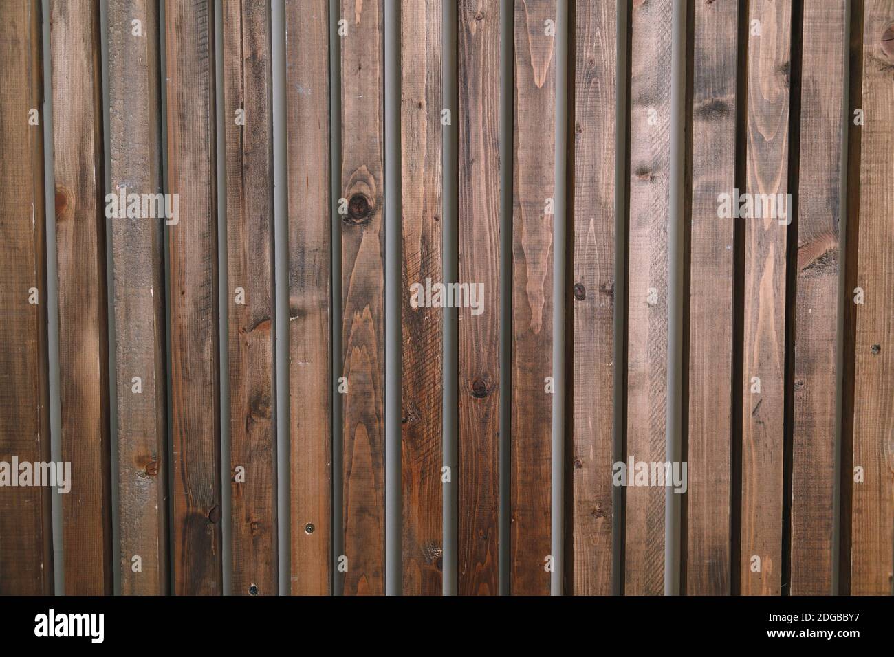 Interior natural hi-res stock photography and images - Alamy