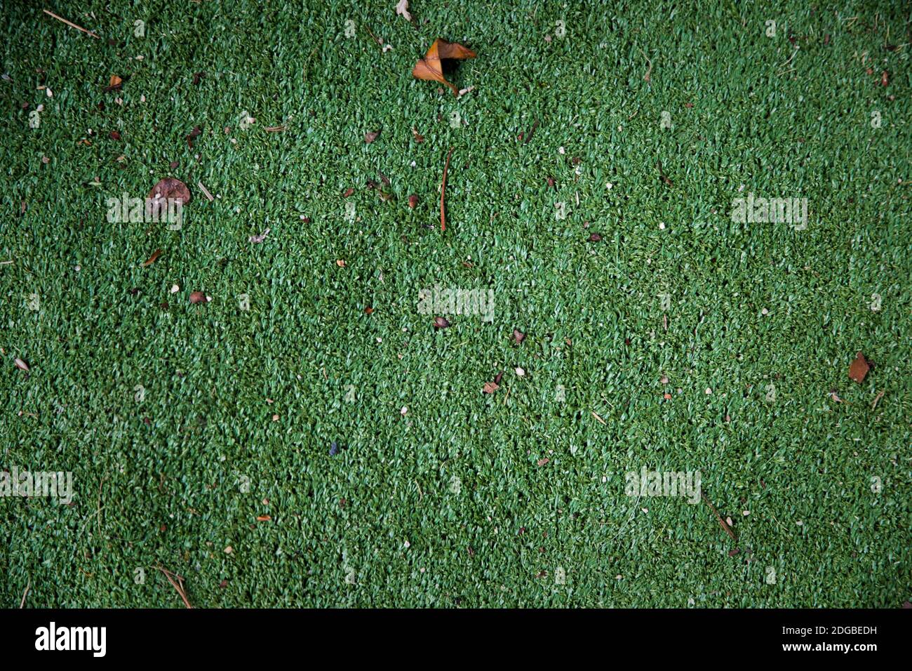 Detail of Brazilian Grass texture with medium green, spring tint Stock ...